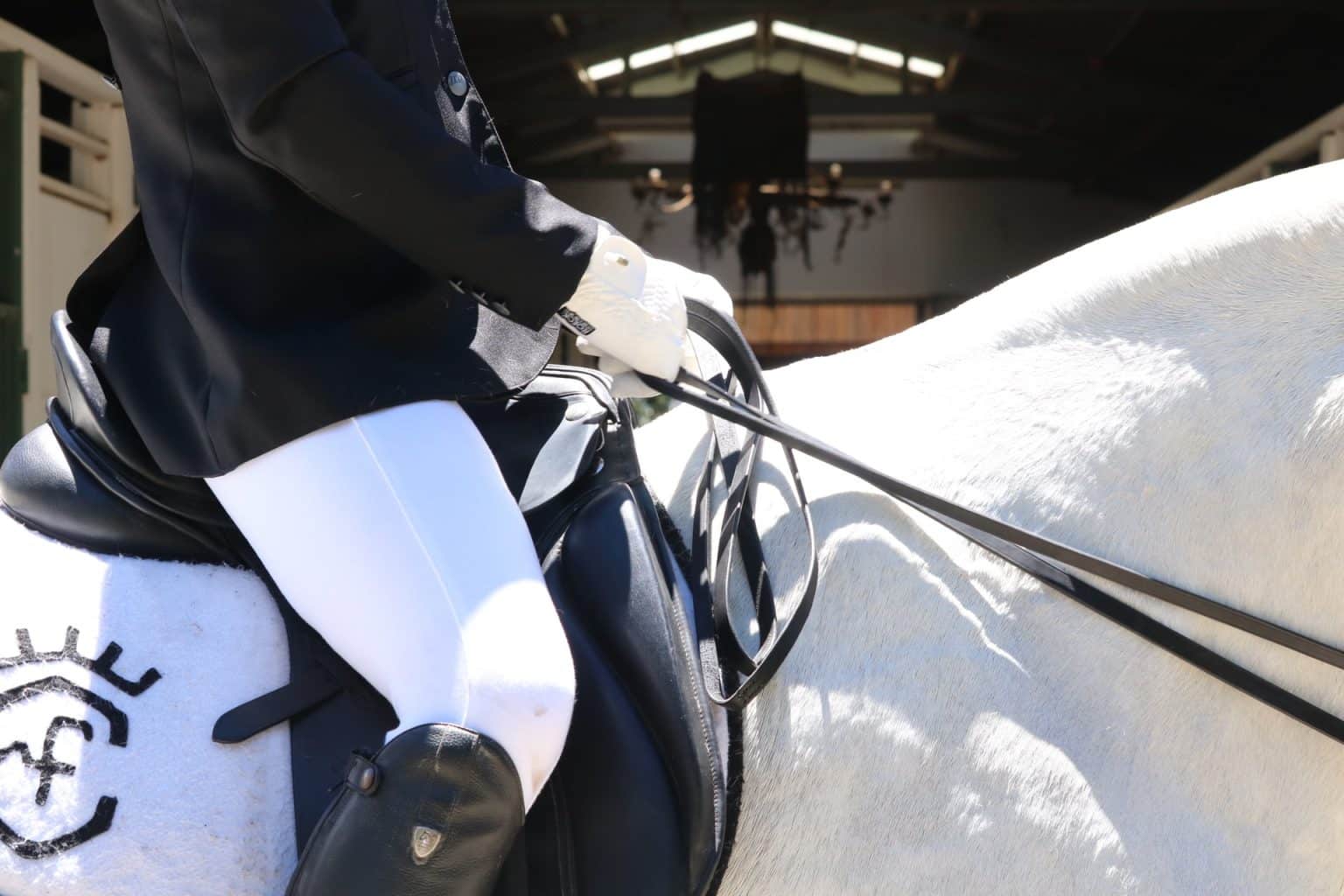 Tout savoir sur le polo : un célèbre sport d’équitation - Sport Style
